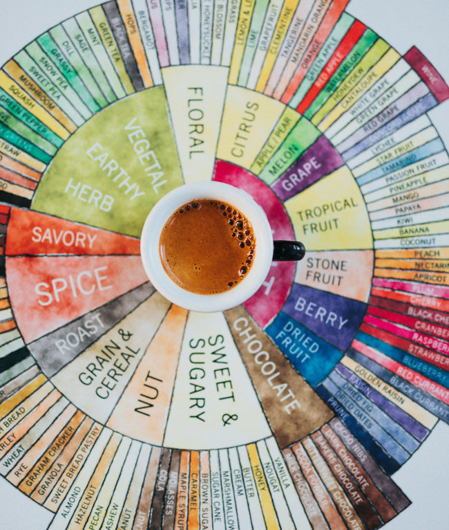 How Your Cup Becomes Excellent: The Journey of a Cup of Excellence Cof ...