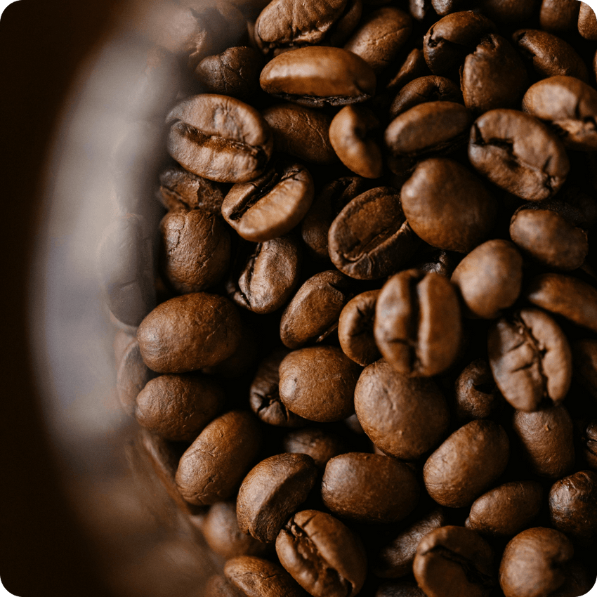 Sumatra Dark – Angelino's Coffee